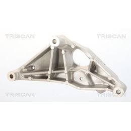 TRISCAN Lagerung, Motor 850581103 f&uuml;r Tesla