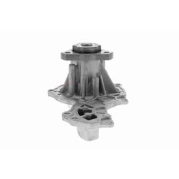VAICO Wasserpumpe Original Qualit&auml;t v1050029 f&uuml;r VAG VW