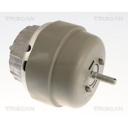 TRISCAN Lagerung, Motor 8505291001 f&uuml;r Audi