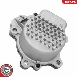ESEN SKV Wasserpumpe 22skv092 f&uuml;r TOYOTA