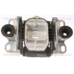 TRISCAN Lagerung, Motor 850516122 f&uuml;r Ford