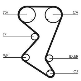 CONTINENTAL CTAM Wasserpumpe + Zahnriemensatz ct1138wp1 f&uuml;r Peugeot Citro&euml;n LANCIA