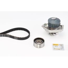 CONTINENTAL CTAM Wasserpumpe + Zahnriemensatz ct927wp1 f&uuml;r LANCIA Fiat