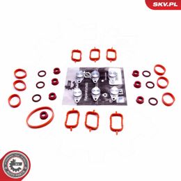 ESEN SKV Reparatursatz, Saugrohrmodul 49SKV568