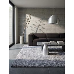 KADIMA DESIGN Teppich Hochflor RHEIN in Hellgrau, einfarbig, 80 x 150 cm