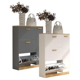 Vcm Holz Regal Kipper Schuhregal Schuhschrank Schuhkipper 3 Klappen 1 Dreht&uuml;r Halom L