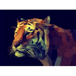 Pro Art Keilrahmenbild COLOURFUL TIGER