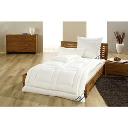 f.a.n. Frankenstolz Bettdecke Leicht-Steppbett African Cotton 155x220