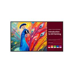 BenQ SH5504 | 55" | 4K Digital Signage Display