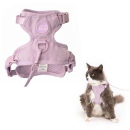 LucyBalu EXPLORER Katzengeschirr flieder XS-S