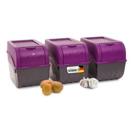 Kartoffel Aufbewahrungsbox 3X gro&szlig; 9L LILA Zwiebelbox Gem&uuml;sebox stapelbar Kartoffelbox Zwiebel Aufbewahrung Kartoffelkorb Obstbeh&auml;lter Kartoffelkiste Frischhaltedose