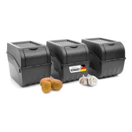 Kartoffel Aufbewahrungsbox 3x gro&szlig; 9L ANTHRAZIT GRAU Zwiebelbox Gem&uuml;sebox stapelbar Kartoffelbox Zwiebel Aufbewahrung Kartoffelkorb Obstbeh&auml;lter Kartoffelkiste Frischhaltedose
