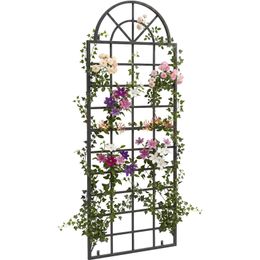 CLP Rankgitter Viva aus Eisen mit Rundbogen und integrierten Halterungen, ideale Kletterhilfe und Rankhilfe f&uuml;r Garten, Terrasse und Balkon