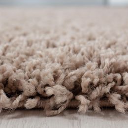 KADIMA DESIGN Teppich Hochflor RHEIN in Beige, einfarbig, 240 x 340 cm