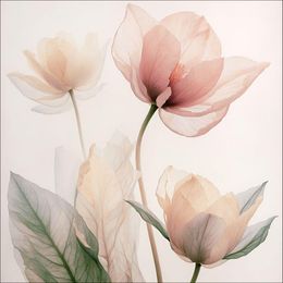 Pro Art Aludibondbild FLOWERS XII