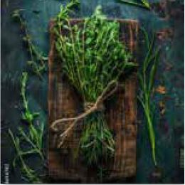 Pro Art Glasbild HERBAL BUNCH