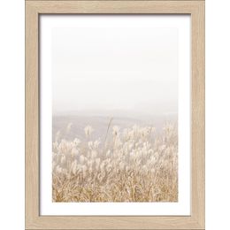 Pro Art Gerahmtes Bild DRIED FIBER IV