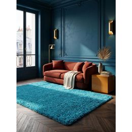 KADIMA DESIGN Teppich Hochflor RHEIN in T&uuml;rkis, einfarbig, 80 x 150 cm