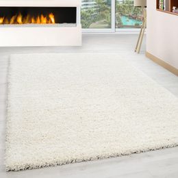 KADIMA DESIGN Teppich Hochflor RHEIN in Creme, einfarbig, 60 x 110 cm