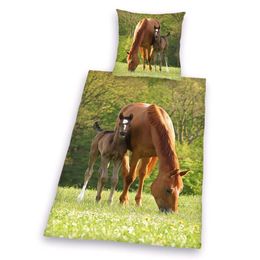Herding Jugendbettw&auml;sche Pferde, Mehrfarbig, Textil, 135x200 cm, Textiles Vertrauen - Oeko-Tex&reg;, Oeko-Tex&reg; Standard 100, pflegeleicht, atmungsaktiv, hautfreundlich, angenehm w&auml;rmend, saugf&auml;hig, schadstoffgepr&uuml;ft, 100% feinster Baumwollsatin mit Seiden-Finish, weiche und anschmiegsame Oberfl&auml;che, Schlaftextilien, Bettw&auml;sche, Kinderbettw&auml;sche
