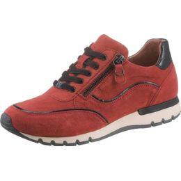 Caprice Sneaker