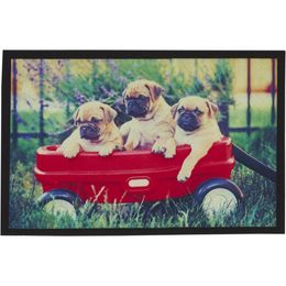 Fu&szlig;matte 'Orlando' Hunde 40 x 60 cm