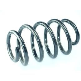 CS GERMANY Fahrwerksfeder 14950880 Vorderachse f&uuml;r Audi