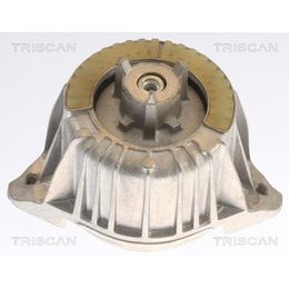 TRISCAN Lagerung, Motor 850523109 f&uuml;r Mercedes