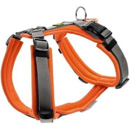Hunter Geschirr Maldon Up orange XS-S