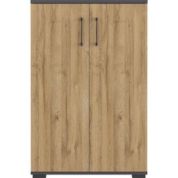 Germania Aktenschrank 4247-564 GW-Profi, in Graphit/Grandson-Eiche-Nb., mit Metallgriffen, 80 x 123 x 40 cm (BxHxT)