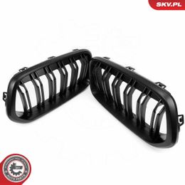 ESEN SKV K&uuml;hlergitter 66SKV247 beidseitig f&uuml;r BMW