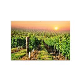 Wallario Gartenposter ca. 100 x 150 cm Weinberg mit untergehender Sonne