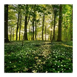 Wallario Gartenposter ca. 180 x 180cm, 2-teilig Waldanemonen und Sonnenstrahlen im Wald
