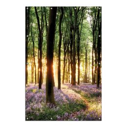 Wallario Gartenposter ca. 180 x 180cm, 2-teilig Blaue Hasengl&ouml;ckchen im Wald mit Sonnenstrahlen