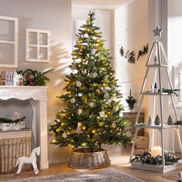 Tannenbaum mit Lichterkette