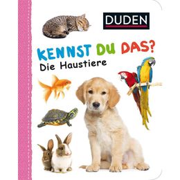 Kennst du das? Die Haustiere