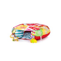 Chipolino Babykissen 2 in 1, Spielkissen, Greiflinge, Kuschelkissen, Sitzkissen bunt