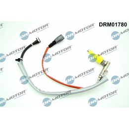 DR.MOTOR AUTOMOTIVE Einspritzeinheit, Ru&szlig;-/Partikelfilterregeneration drm01780 f&uuml;r Ford