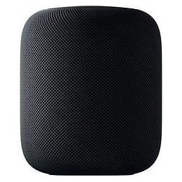 Apple HomePod [1. Generation] space grau