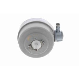 VAICO Lagerung, Motor v107576 vorne links f&uuml;r VW