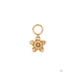 PURELEI Nazisse Ohrring-Charm 
- Geburtsblume Dezember