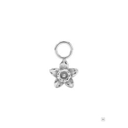 PURELEI Nazisse Ohrring-Charm 
- Geburtsblume Dezember