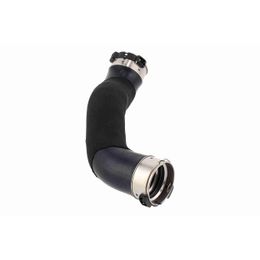 VAICO Ladeluftschlauch v205263 unten f&uuml;r MINI
