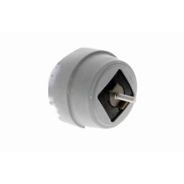 VAICO Lagerung, Motor Original Qualit&auml;t v102184 vorne f&uuml;r VW VAG