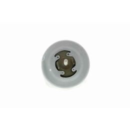 VAICO Lagerung, Motor Original Qualit&auml;t v108239 vorne f&uuml;r VAG