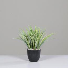 DPI Kunstpflanze GRAS