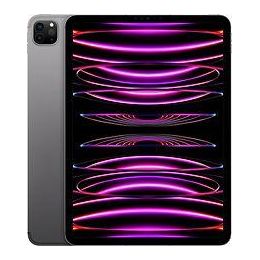 Apple iPad Pro 11 256GB [Wi-Fi + Cellular, Modell 2022] space grau