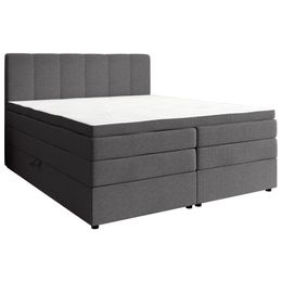 Esposa Boxspringbett, Anthrazit, Kunststoff, H2 + H3, 7-Zonen, H&ouml;he ca. 17 cm, 200x200 cm, Bettkasten, gepolstertes Kopfteil, Topper durchgehend, in verschiedenen Gr&ouml;&szlig;en erh&auml;ltlich, Matratze H&auml;rtegraden geteilt, Schlafzimmer, Betten, Doppelbetten