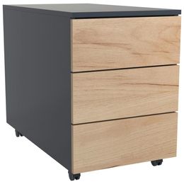 Mid.you Rollcontainer, Honigeiche, Anthrazit, Holzwerkstoff, 3 Schublade(n) Schubladen, 39x55x70 cm, erweiterbar, griffloses &Ouml;ffnen, Arbeitszimmer, Container, Rollcontainer