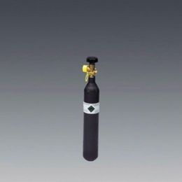 ich-zapfe CO2 Flasche - 0,5 kg mit Flaschencage, Kohlens&auml;ure, Kohlendioxid